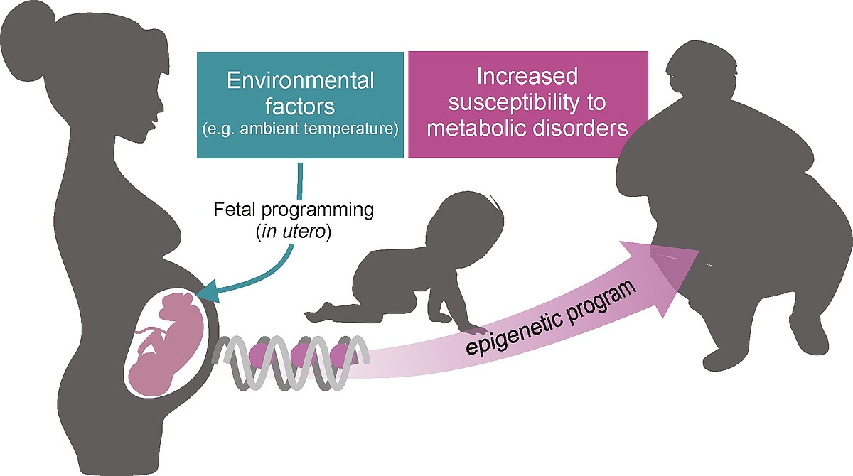 Artikel: CBBM | Center of Brain, Behavior and Metabolism